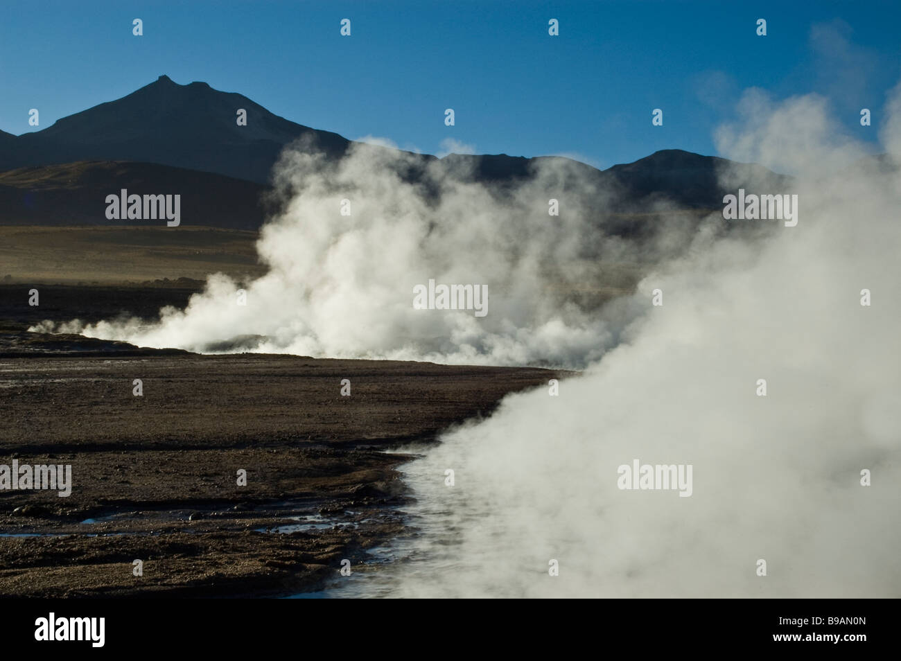 Geysers El Tatio, San Pedro de Atacama Stock Photo - Alamy