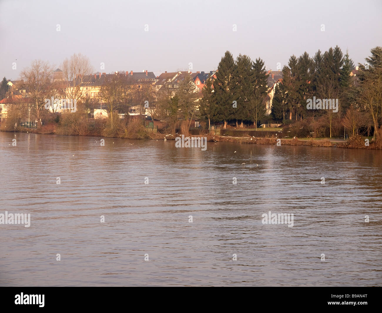 houses on the bank of the river Main Mainufer by Griesheim part of ...