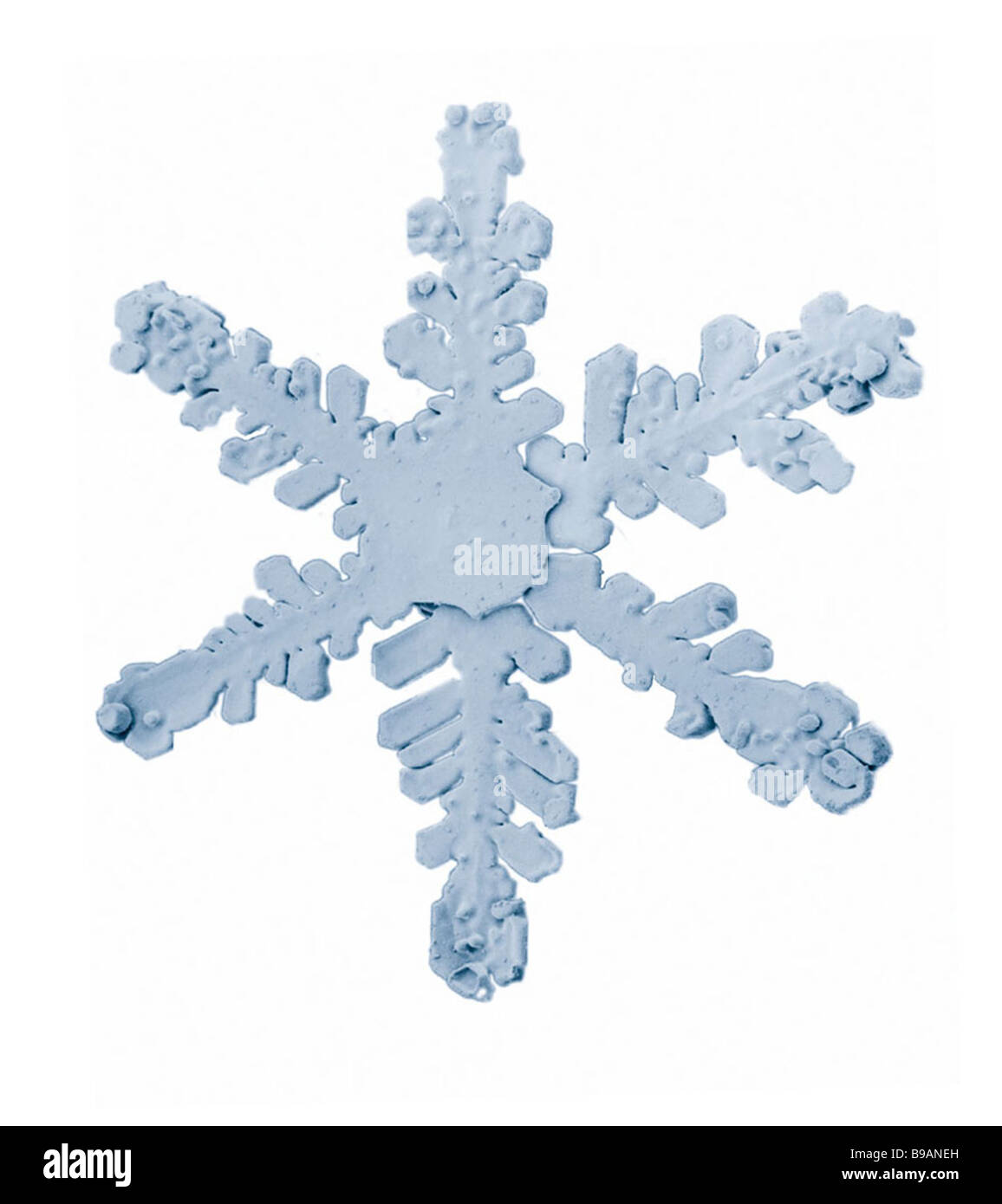 Snowflake microscope hi-res stock photography and images - Alamy