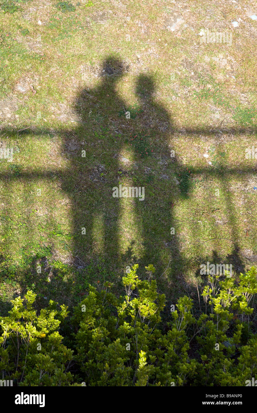 Ground covers for shade hi-res stock photography and images - Alamy