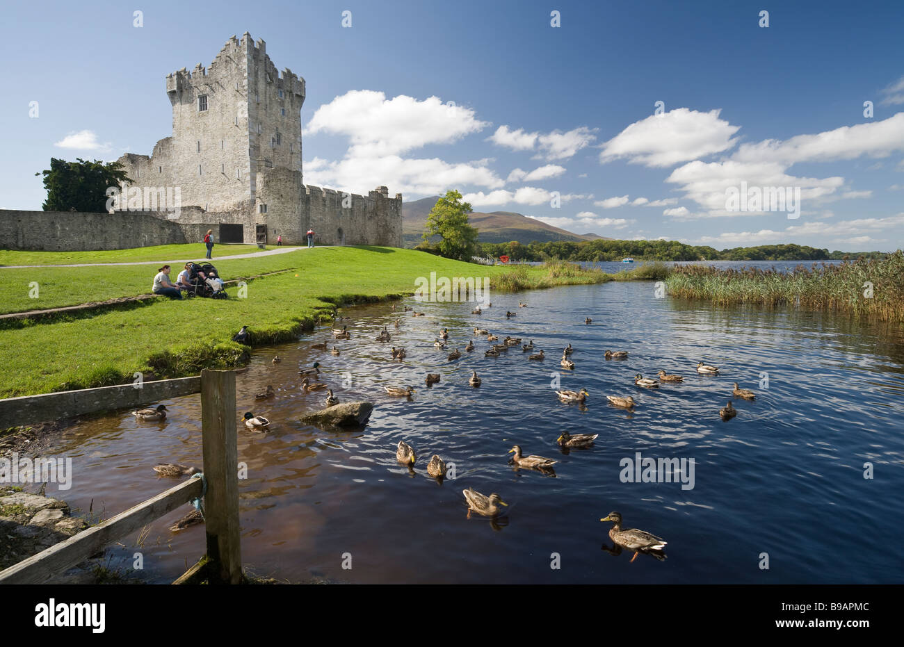 Ross Castle and Killarney Lake with Ducks. Tourists picnic beside the ...