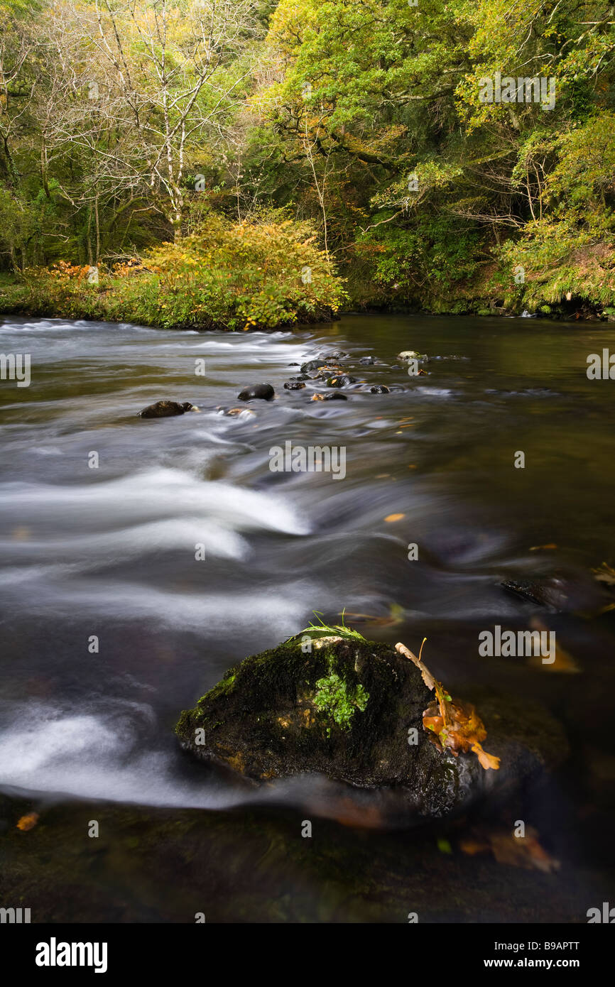 River Tavy in Devon in autumn Stock Photo - Alamy