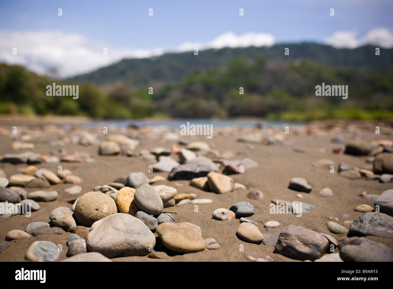 Rocks in the sand on the beach of Dominical in Costa Rica Stock Photo ...
