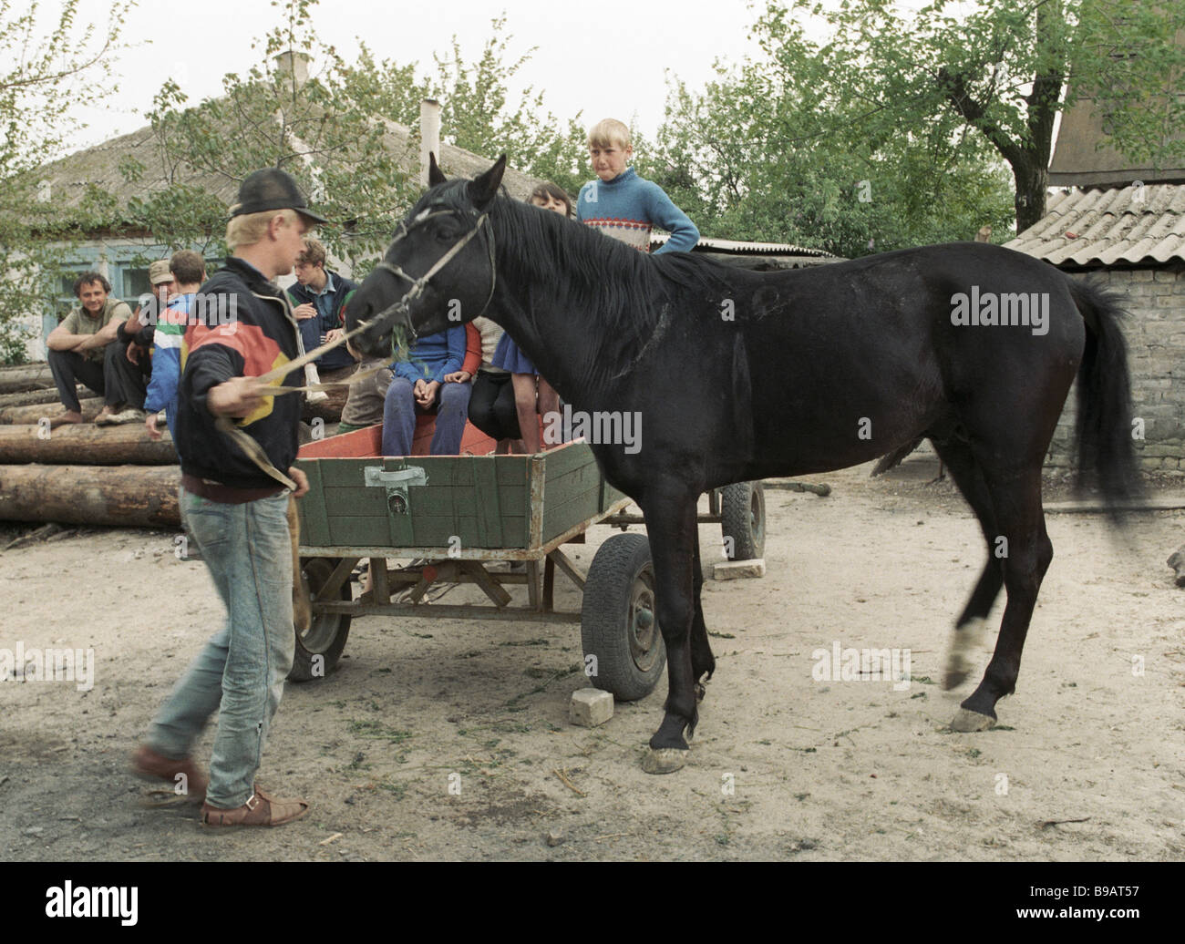 Cossack of the Alexandrovskaya Stanitsa getting cart ready Stock Photo ...