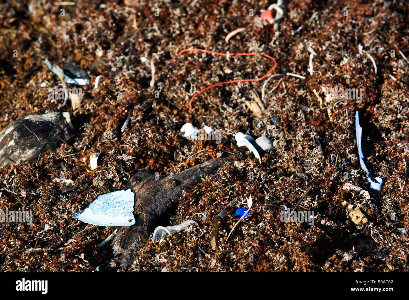 Trash and pollution is blown onto the beaches from the Gulf of Mexico ...
