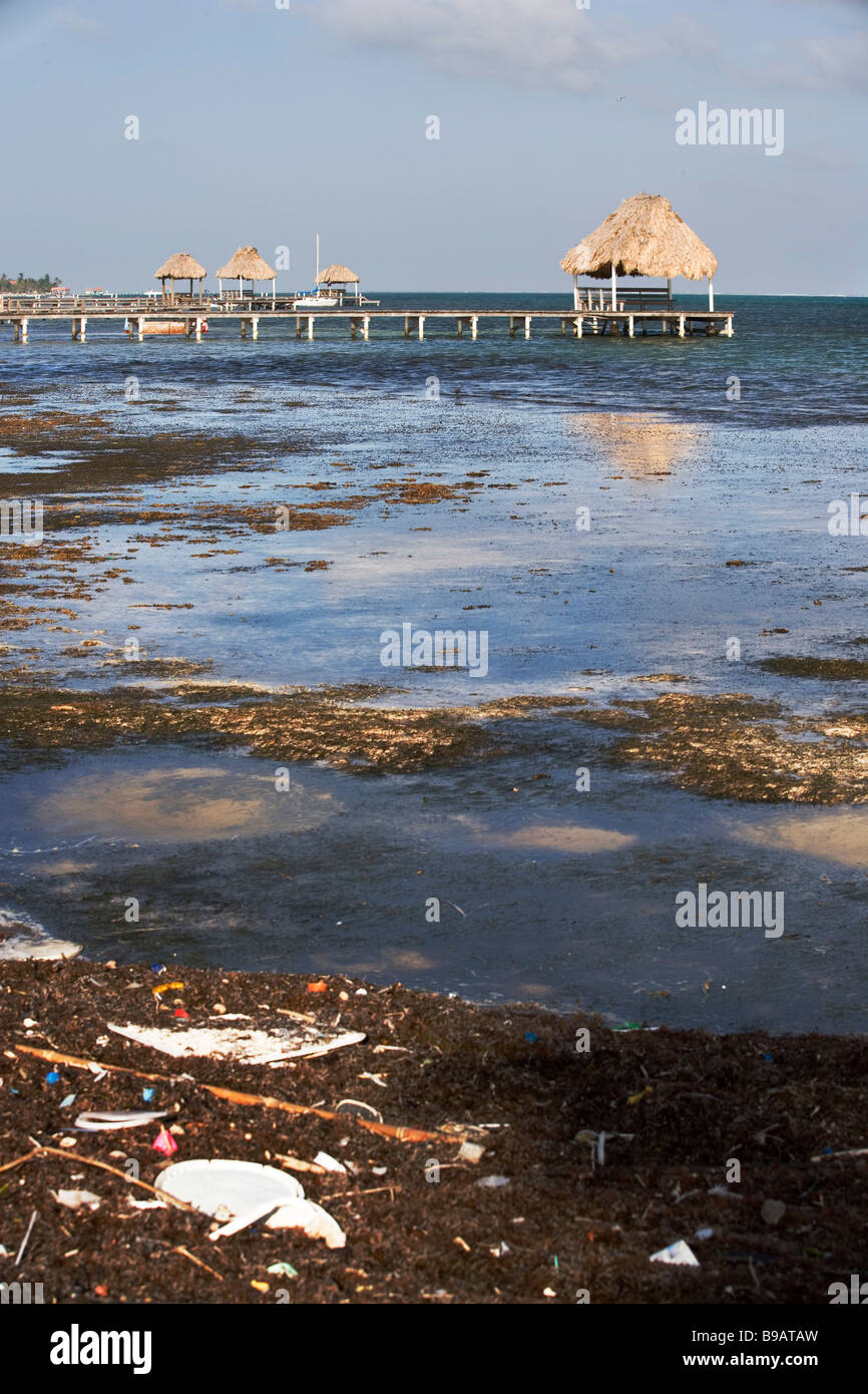 Trash and pollution is blown onto the beaches from the Gulf of Mexico ...