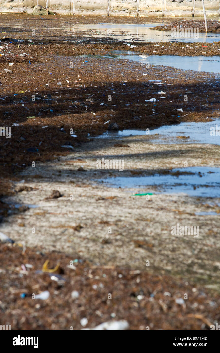 Trash and pollution is blown onto the beaches from the Gulf of Mexico ...