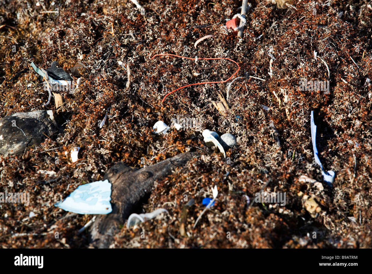 Trash and pollution is blown onto the beaches from the Gulf of Mexico ...