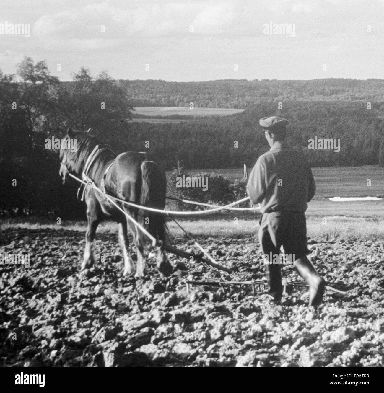A man ploughing the land on horseback Stock Photo - Alamy