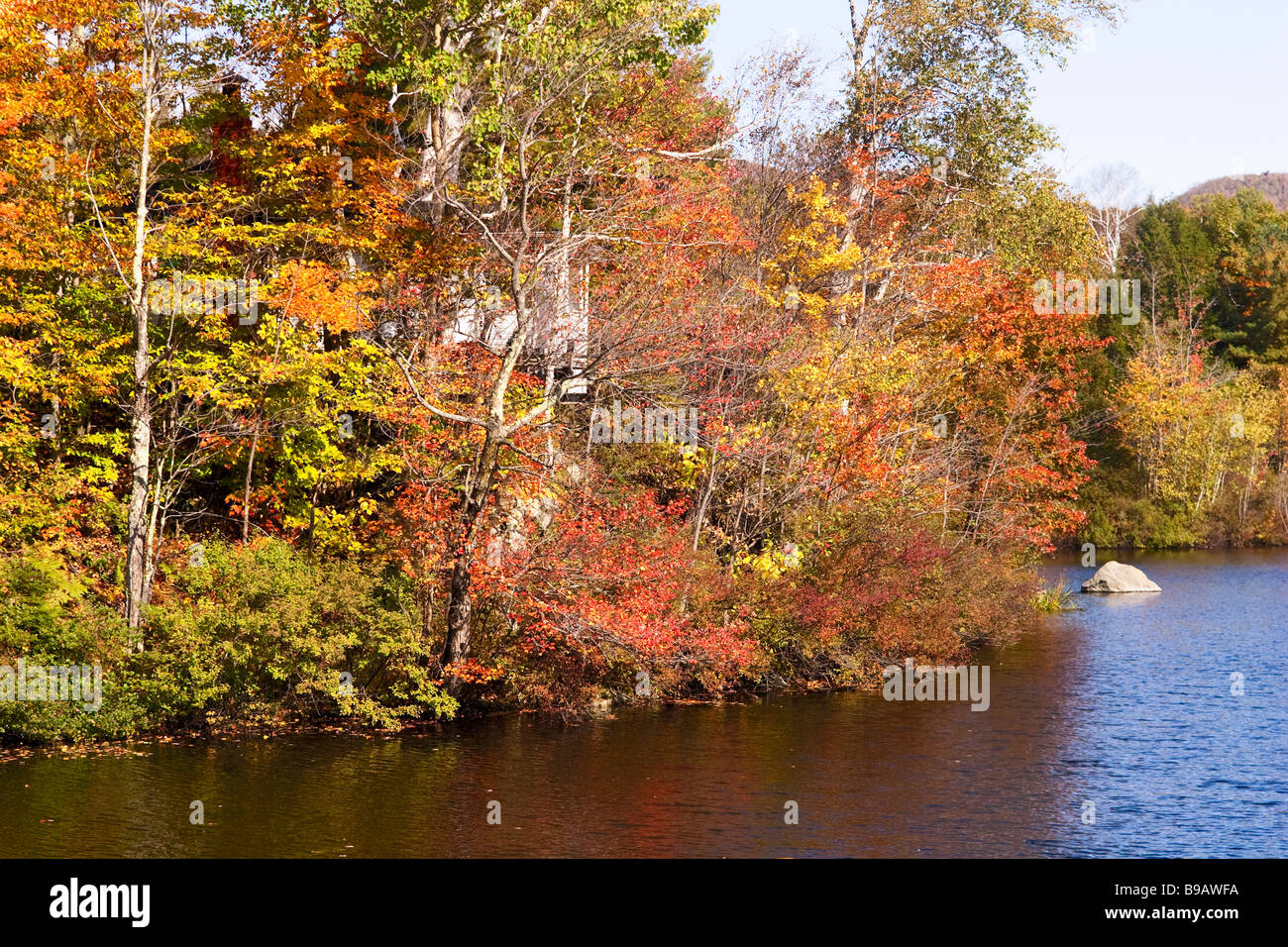 Autumn Colours Colors of Fall. Yellow and red leaves. Quebec Canada ...