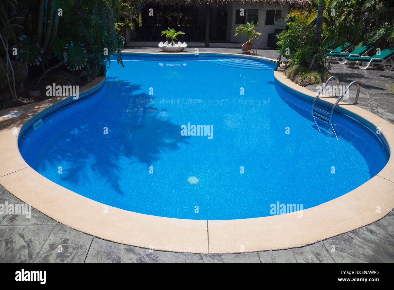 Swimming Pool at Tourist Resort - Rarotonga, Cook Islands, Polynesia ...