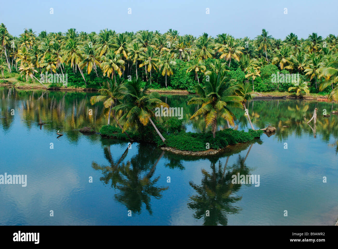 a landscape from kerala backwaters,kerala,india Stock Photo - Alamy