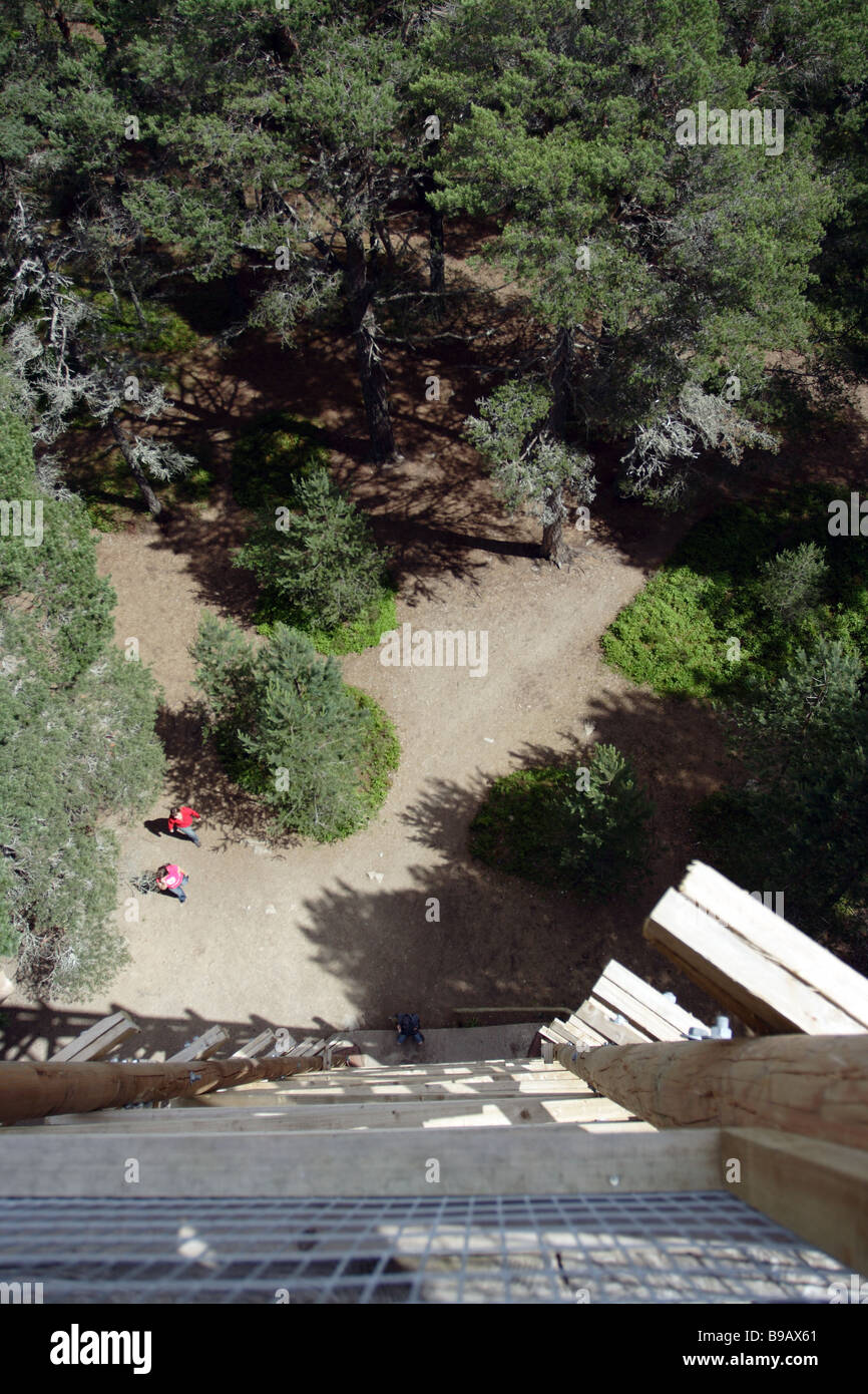 Timber Fire Lookout Tower, Landmark Forest Adventure Park, Carrbridge ...