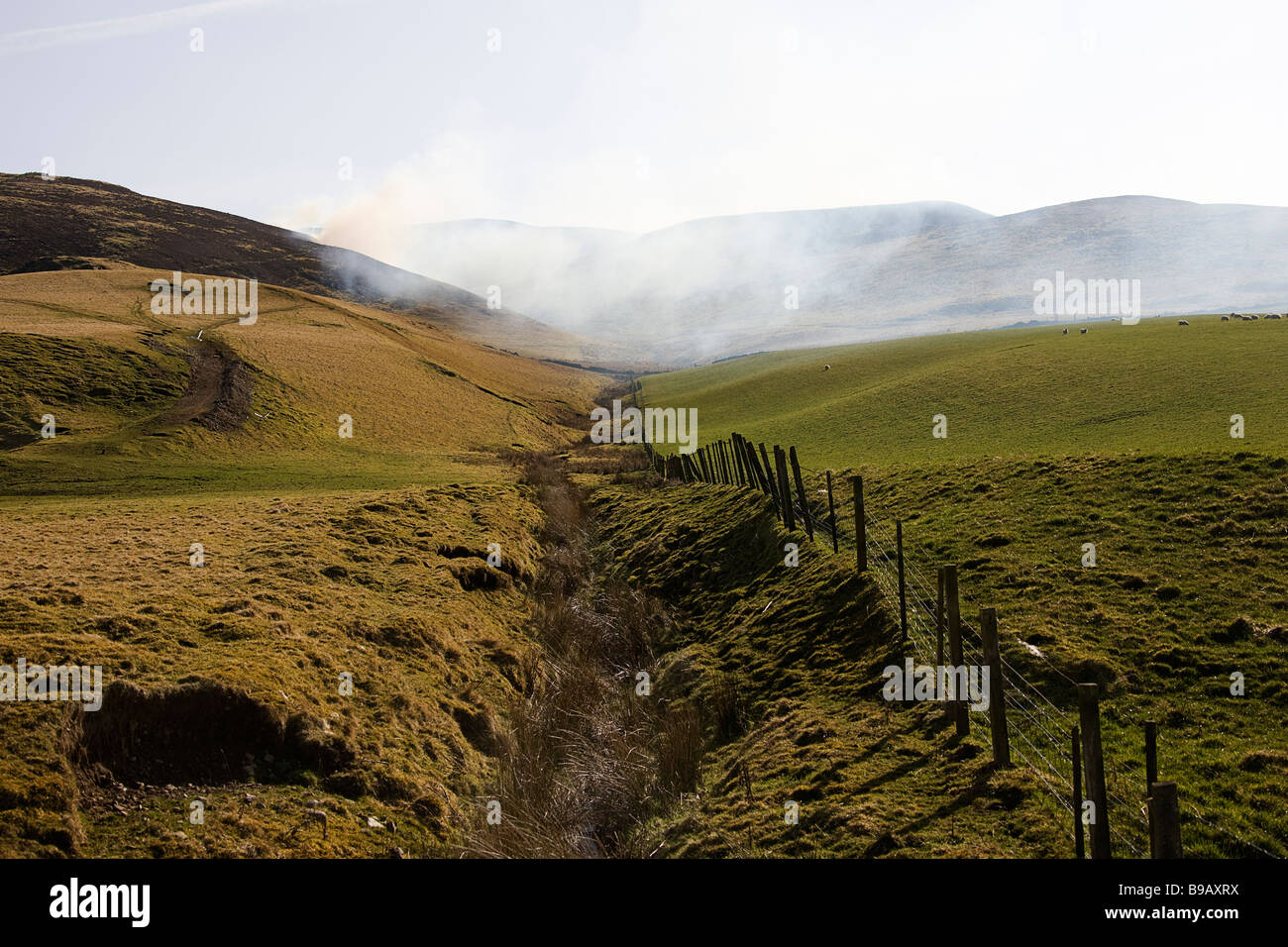 Burning hillside.Scottish borders Stock Photo - Alamy