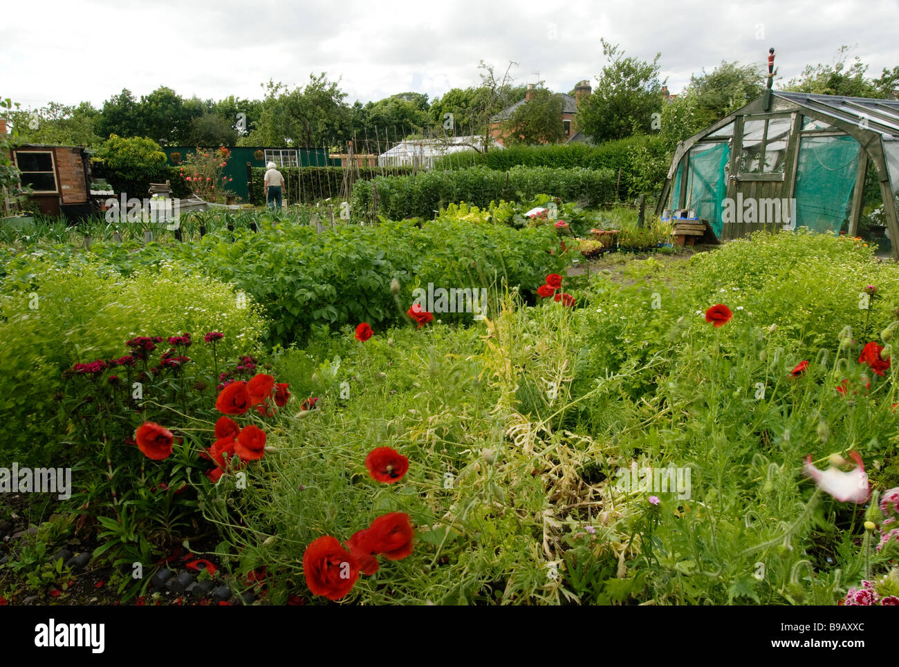 A view across one of the restored and working gardens at Hill Close ...