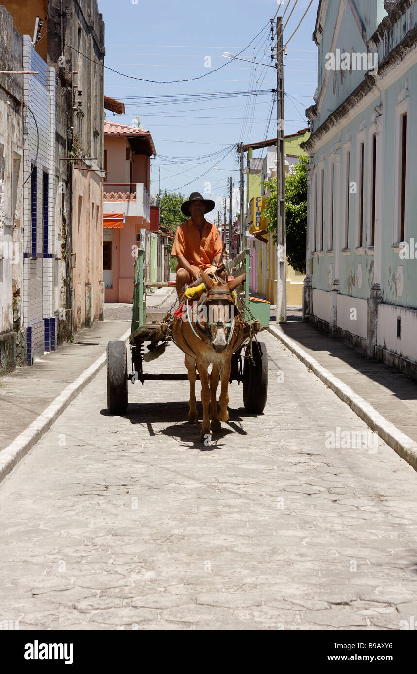 Mule cart in side street of Canavieiras Bahia Brazil South America ...