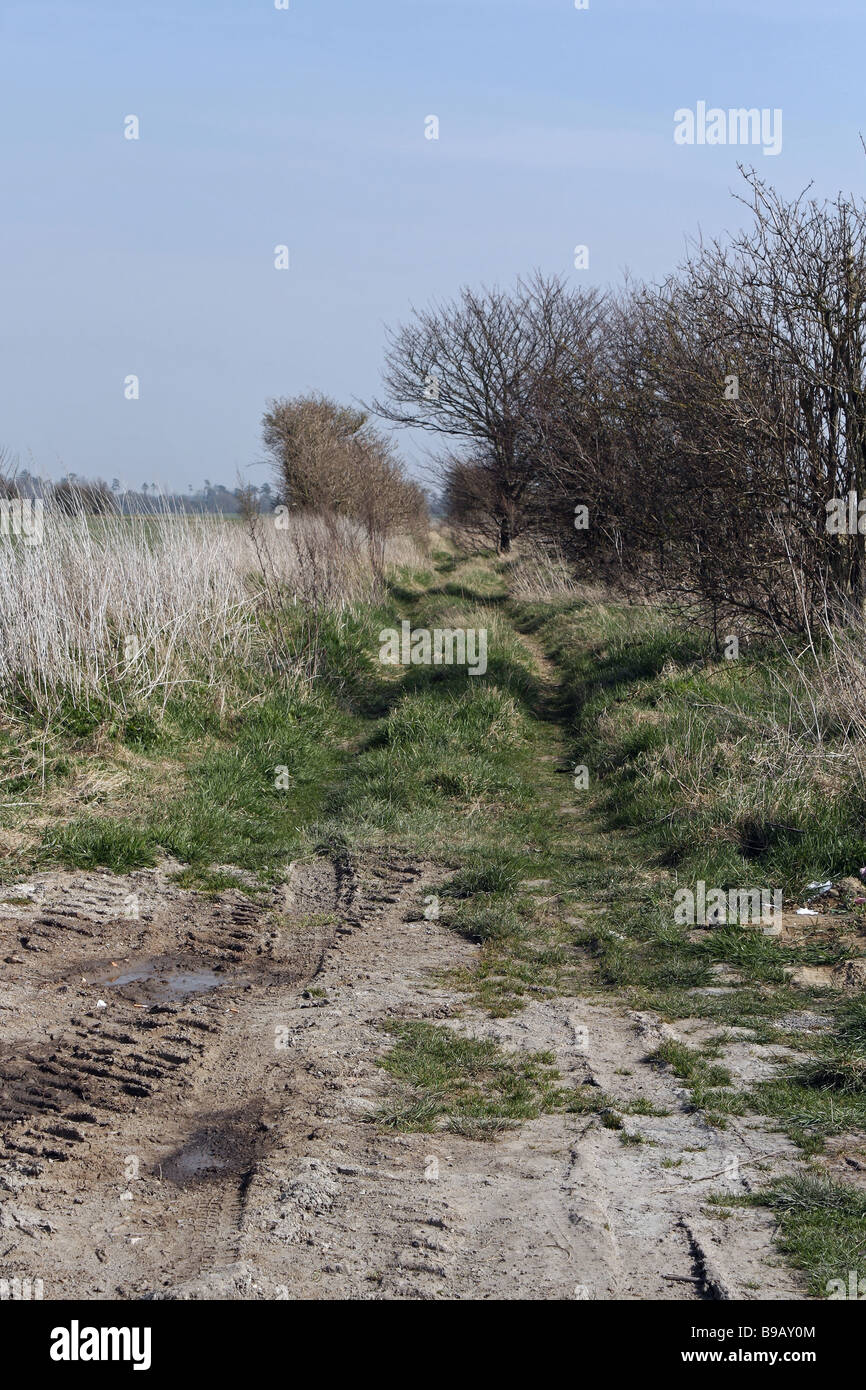 A rutted trackway Stock Photo - Alamy