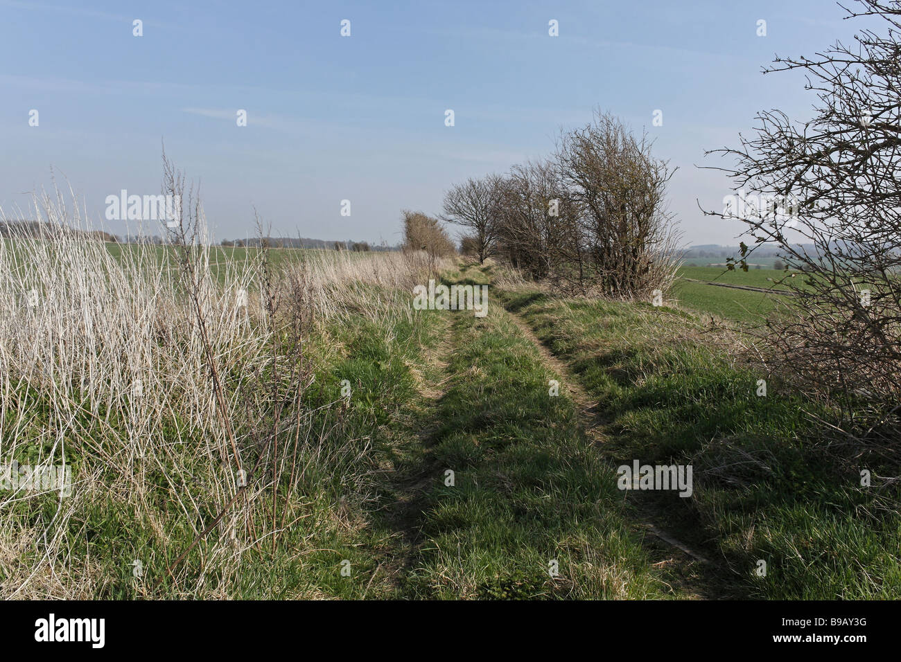 A rutted bridle track Stock Photo - Alamy