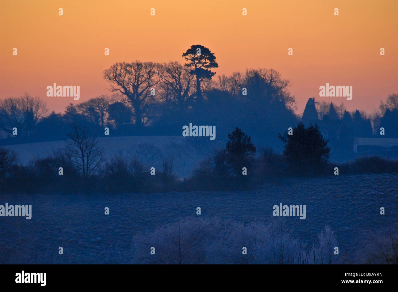 Sunrise winter trees hi-res stock photography and images - Alamy