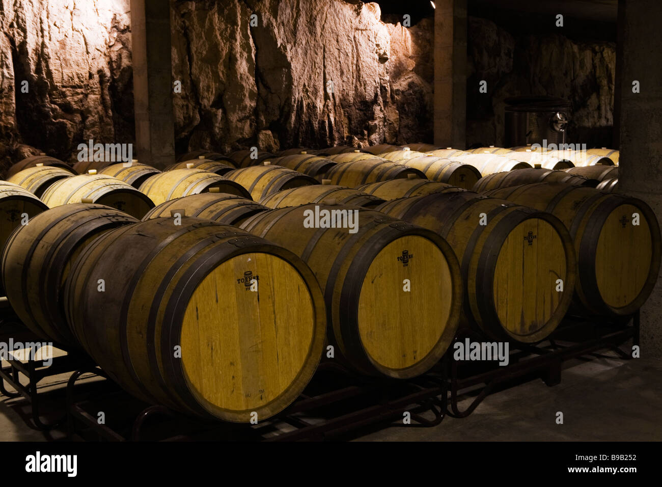 Barrels in a wine cellar Stock Photo - Alamy