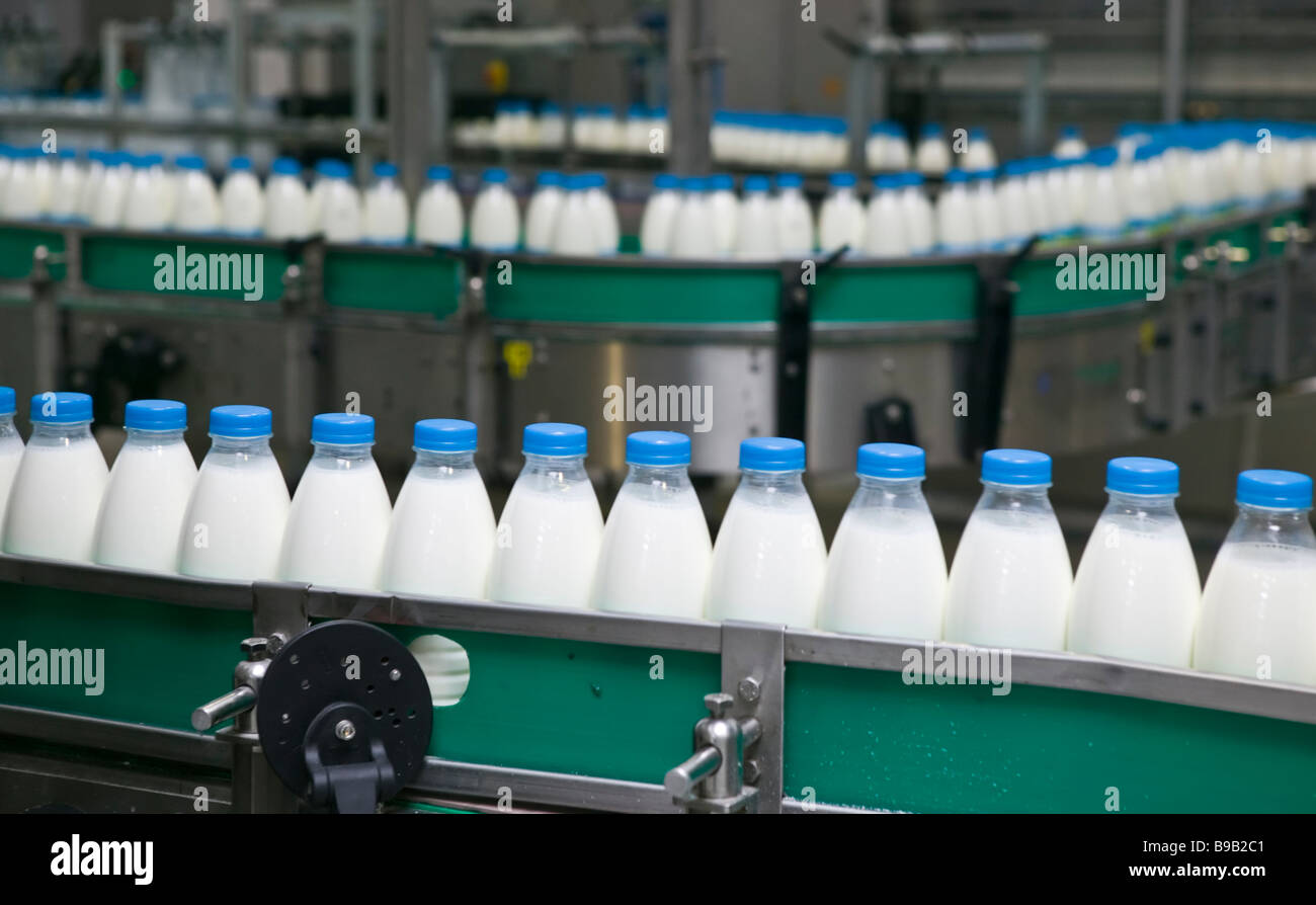 Dairy Plant Conveyor with milk bottles Stock Photo - Alamy