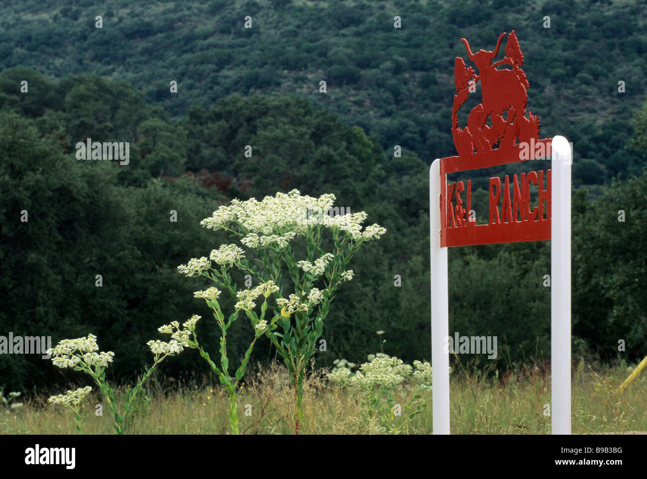 Wrought iron sign at entrance to ranch at Willow City Loop road in the ...