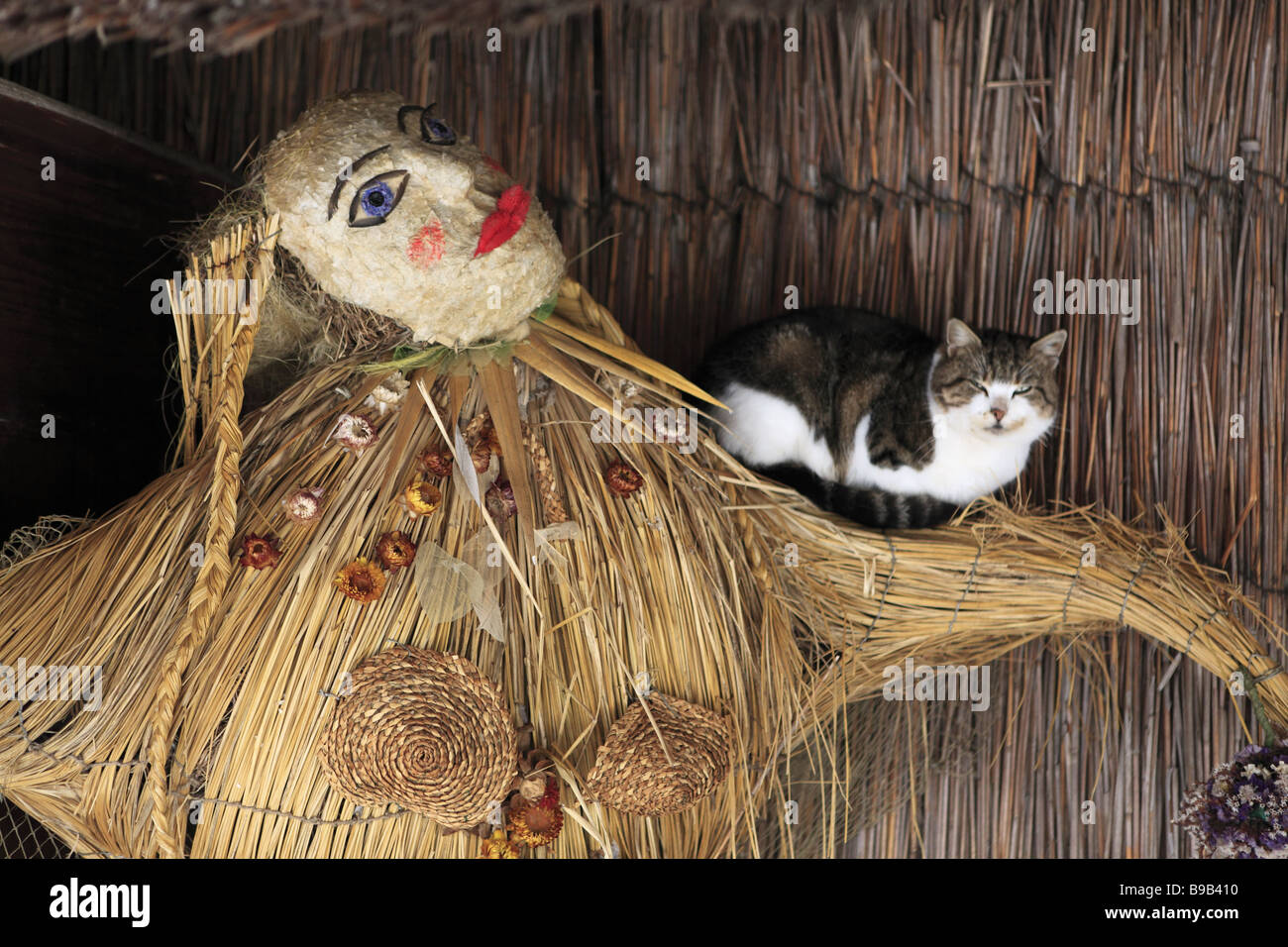 A cat and a carnival hay doll Stock Photo - Alamy