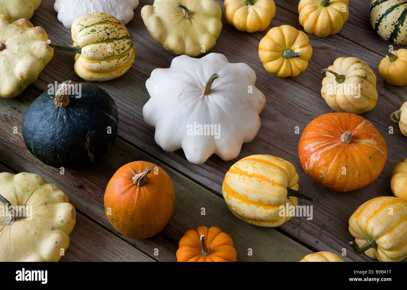 Squashes table gourd hi-res stock photography and images - Alamy