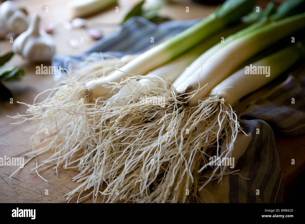 Leeks with roots hi-res stock photography and images - Alamy
