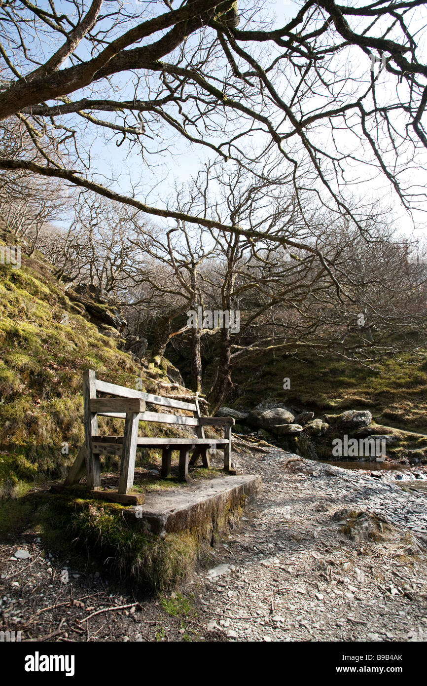 Bench by stream hi-res stock photography and images - Alamy