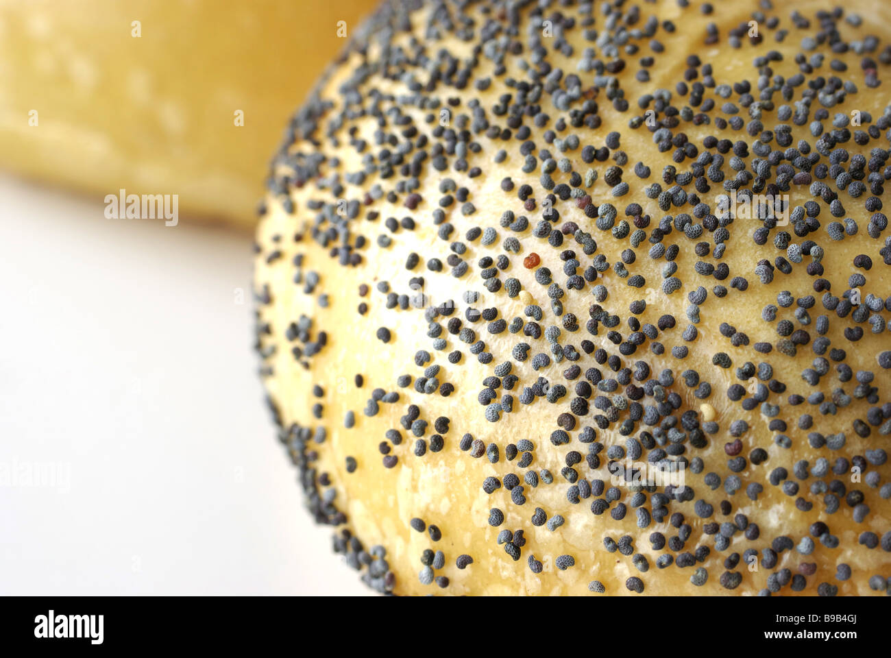 Poppy bagel macro Stock Photo - Alamy