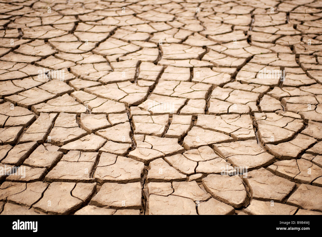 Mud patterns on beach hi-res stock photography and images - Alamy