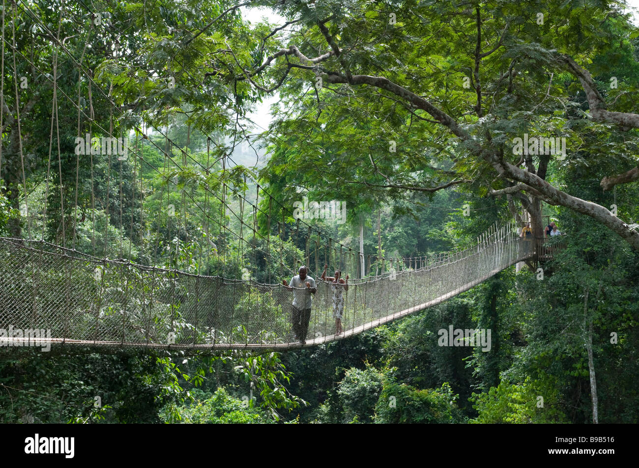 Kakum National Canopy Walkway