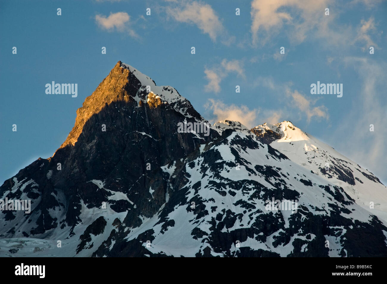 Top morado hi-res stock photography and images - Alamy