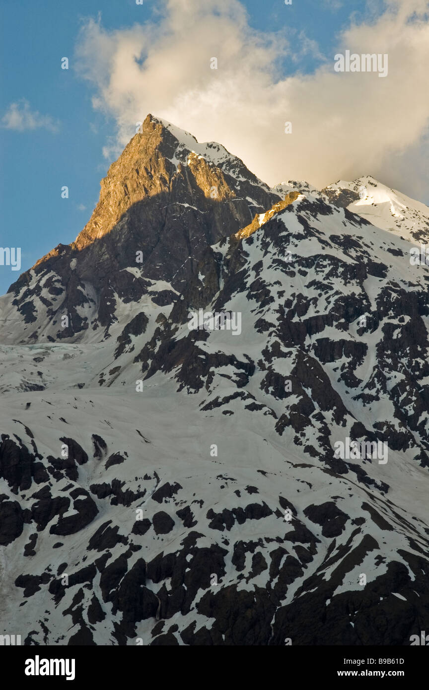 El morado hi-res stock photography and images - Alamy