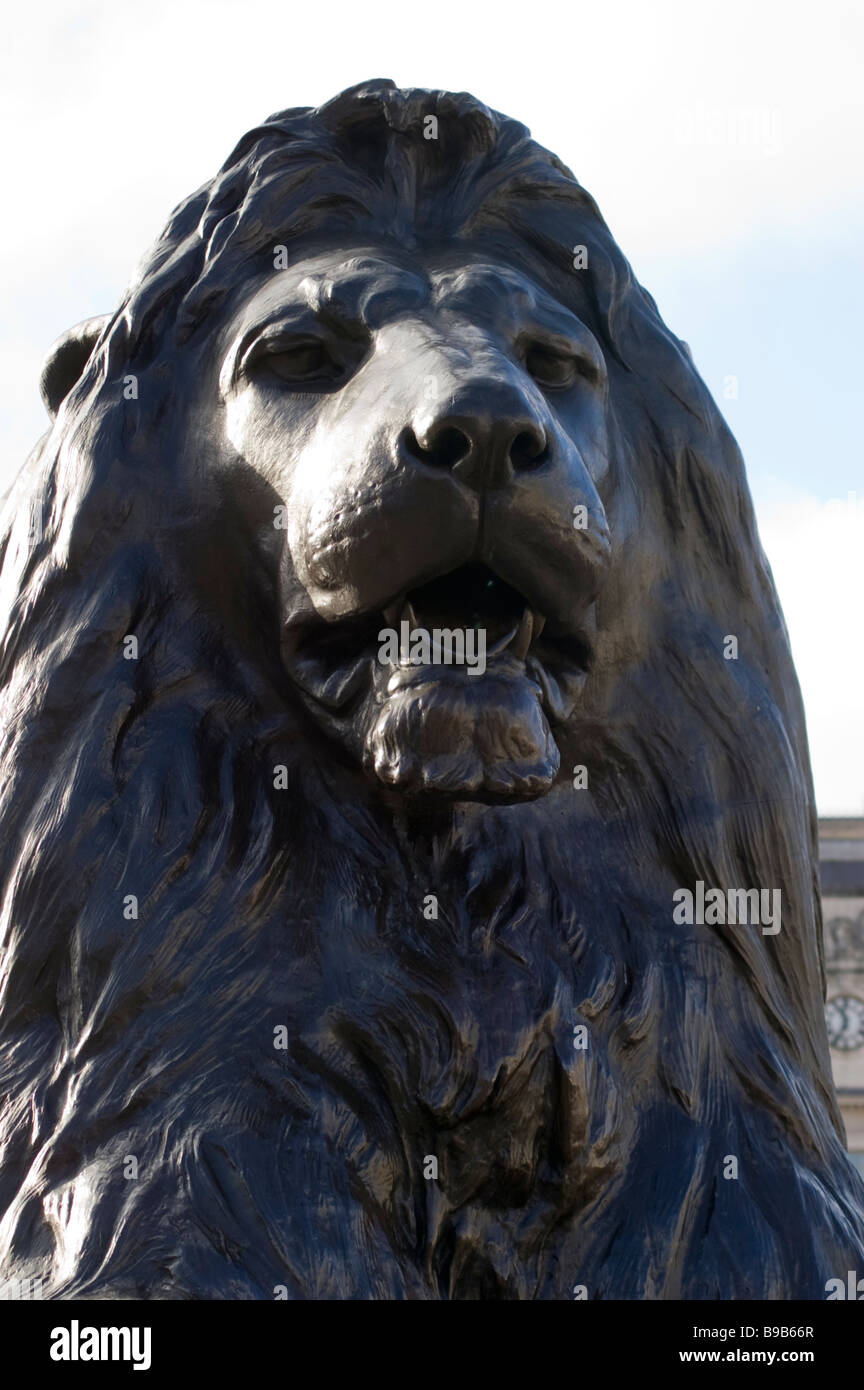 Trafalgar Square Lion, sculpture Stock Photo - Alamy