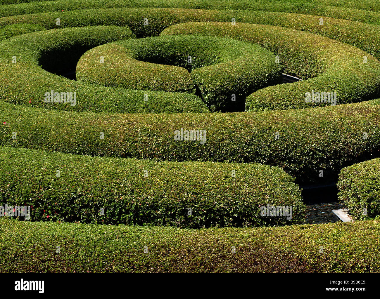 Manicured Bushes Stock Photos & Manicured Bushes Stock Images - Alamy