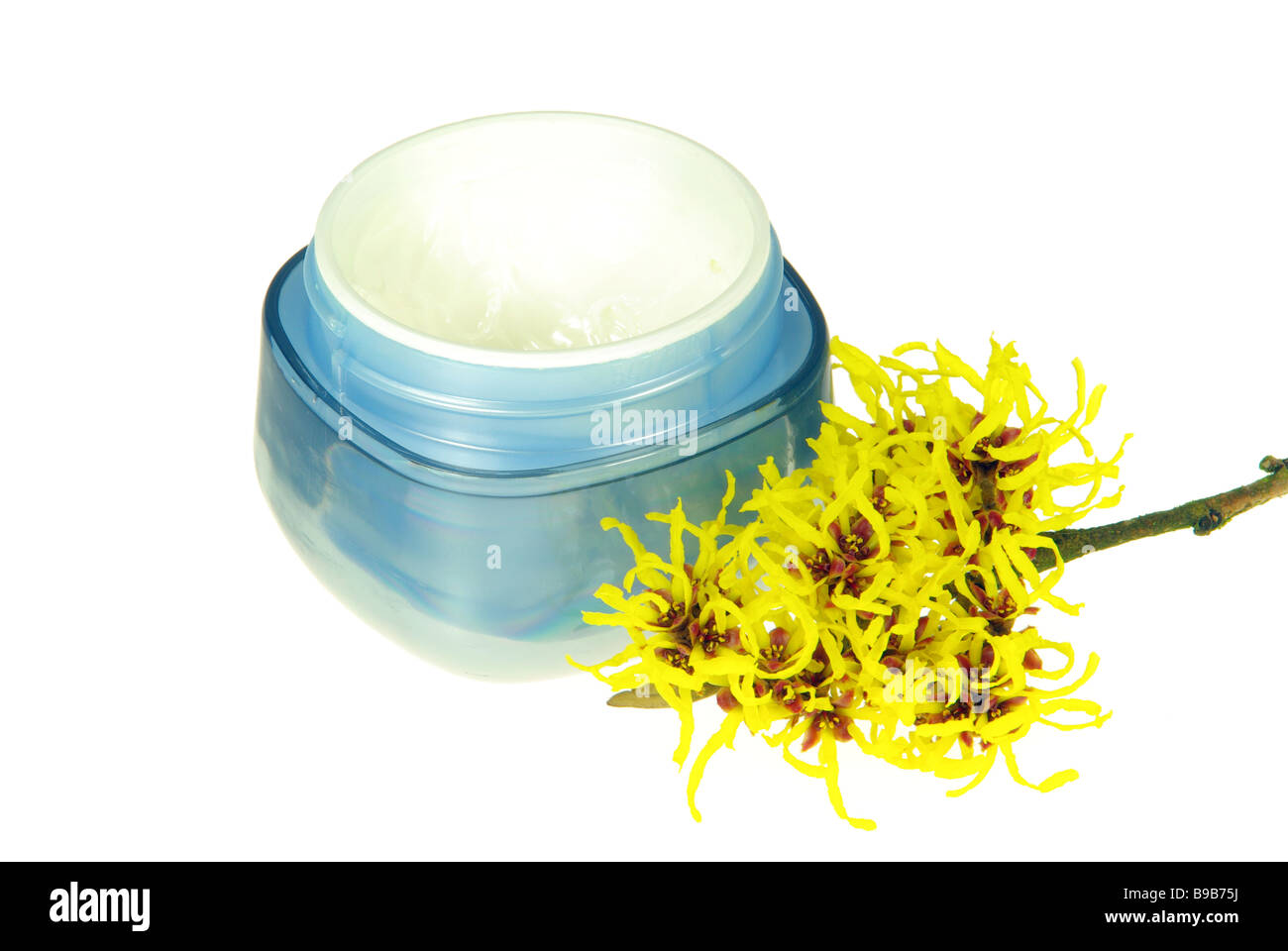 Hamamelis Creme 01 Stock Photo - Alamy
