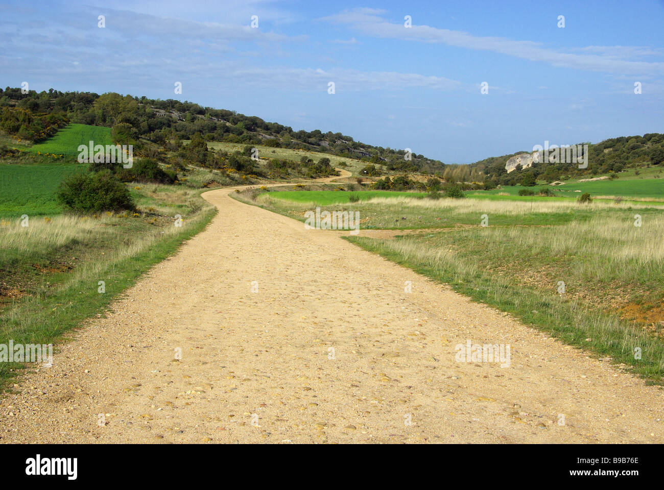 Country lane field summer hi-res stock photography and images - Alamy