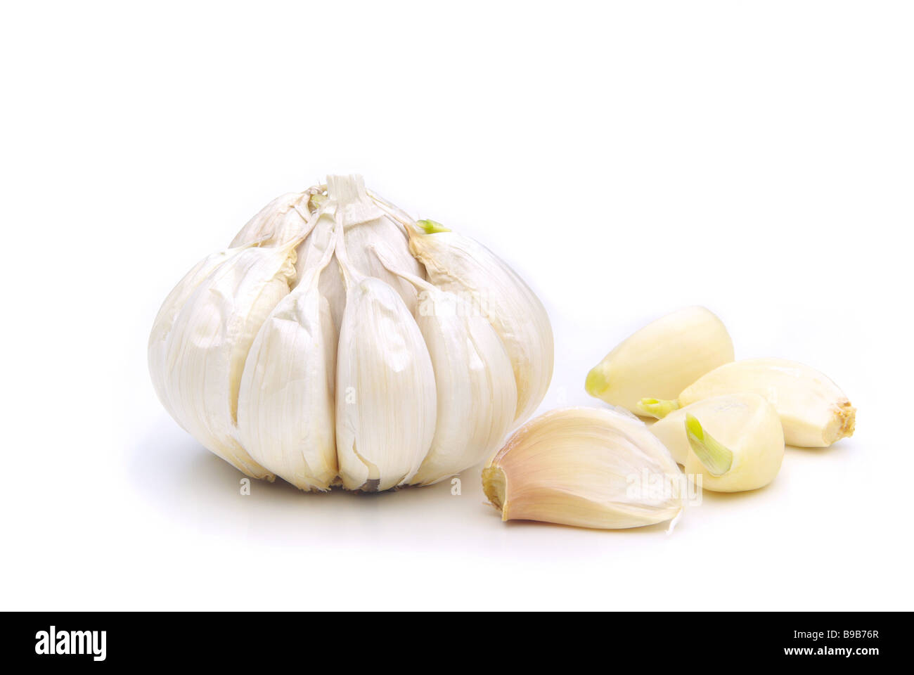 Knoblauch garlic 03 Stock Photo - Alamy