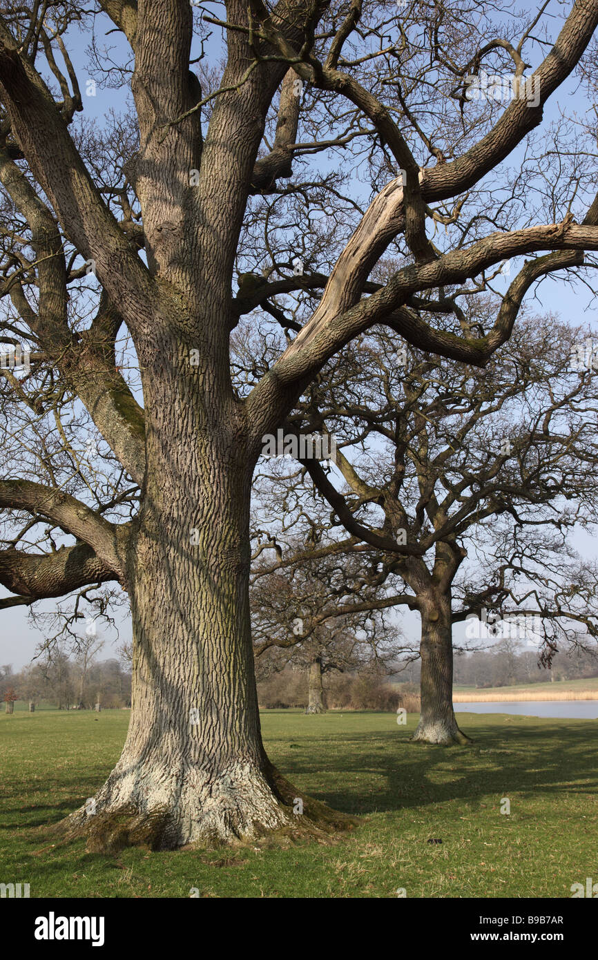 Country skeleton hi-res stock photography and images - Alamy