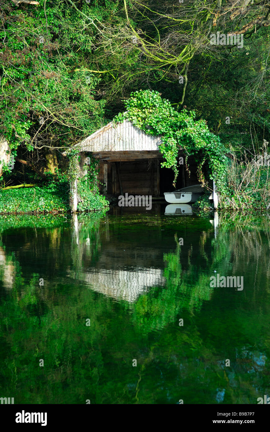 Hackthorn hi-res stock photography and images - Alamy