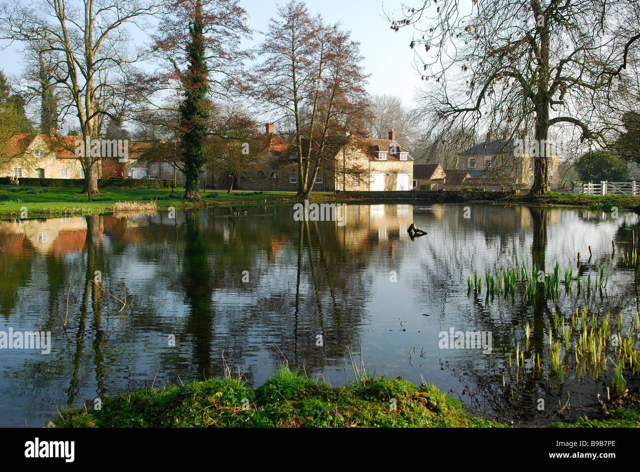 Hackthorn hi-res stock photography and images - Alamy