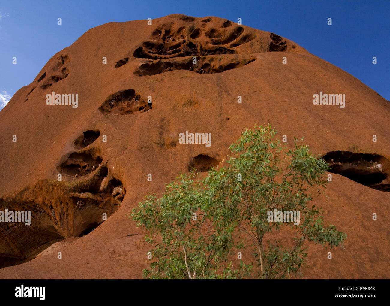 Detail of Uluru in the Northern Territory of Australia Stock Photo - Alamy