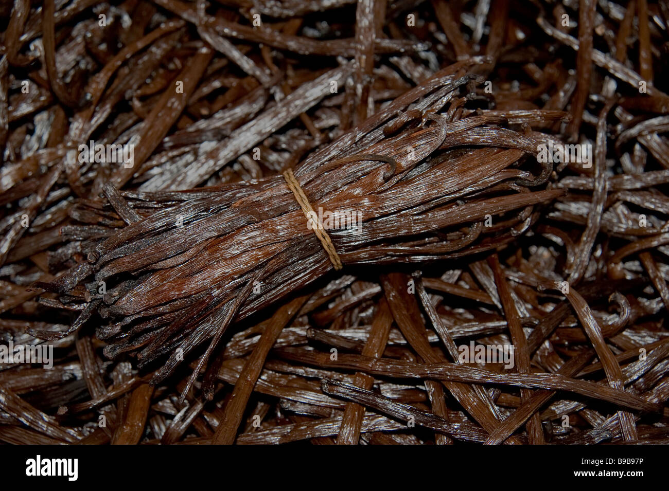 Vanille schoten hi-res stock photography and images - Alamy