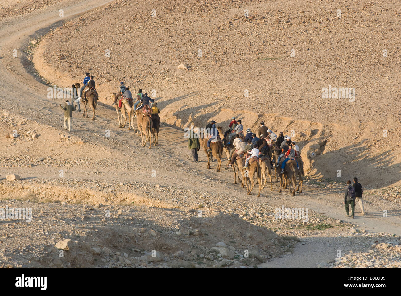 Group of Israeli schoolchildren riding camels in the Negev desert ...