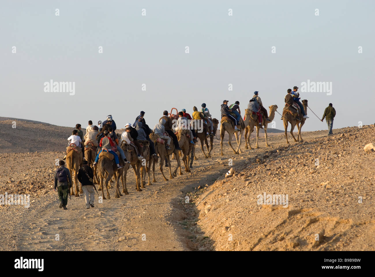 Group of Israeli schoolchildren riding camels in the Negev desert ...