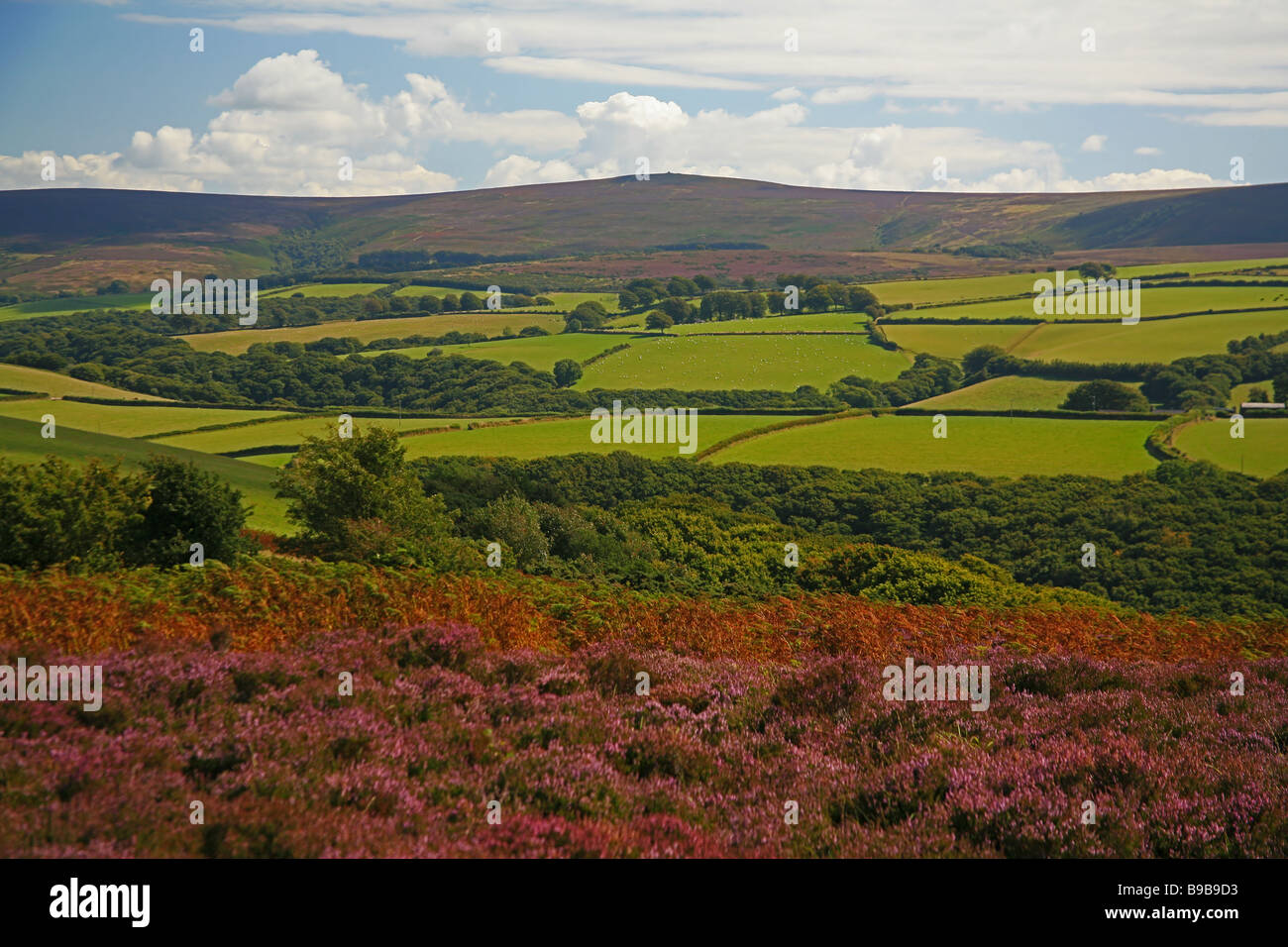 Dunkery Beacon (1,704 feet - highest point on Exmoor and in Somerset ...