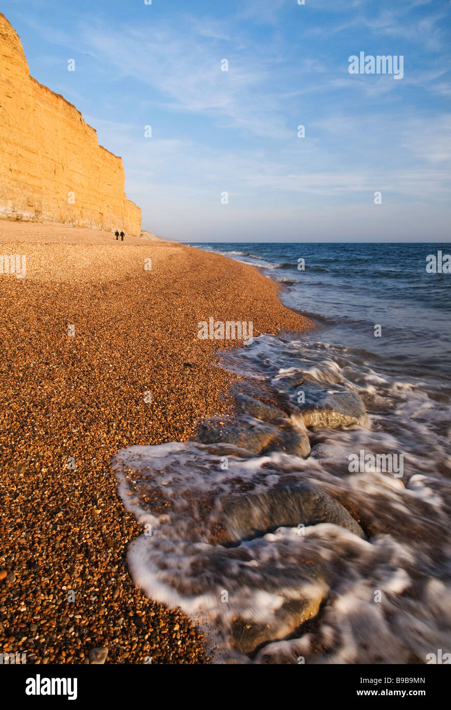 Golden Cliffs in early evening sunlight at Burton Bradstock, Dorset ...