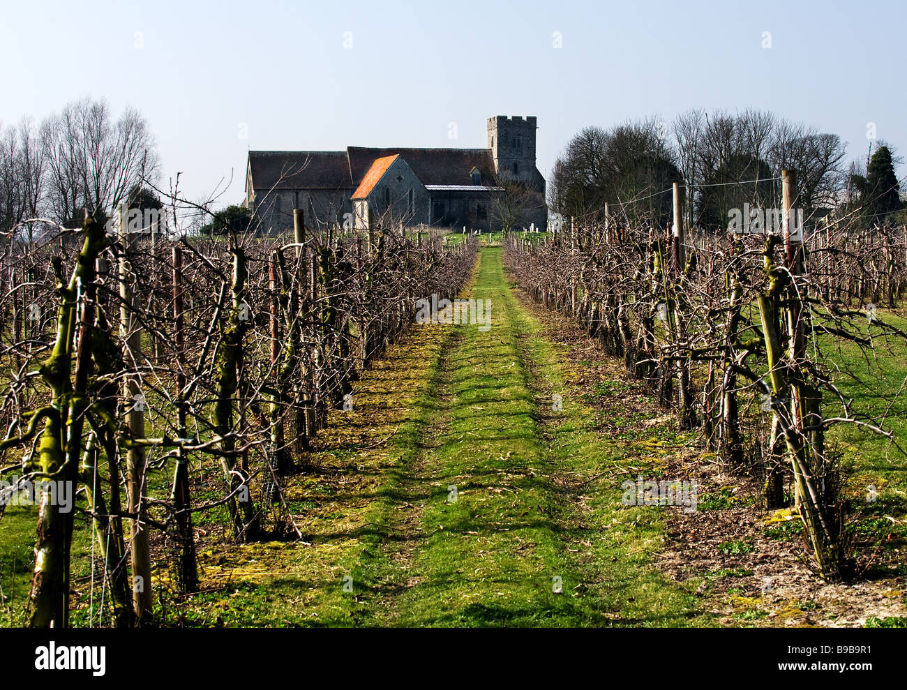 Fruit church hi-res stock photography and images - Alamy